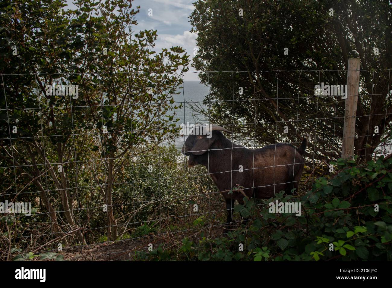 Bournemouth east beach hi-res stock photography and images - Alamy