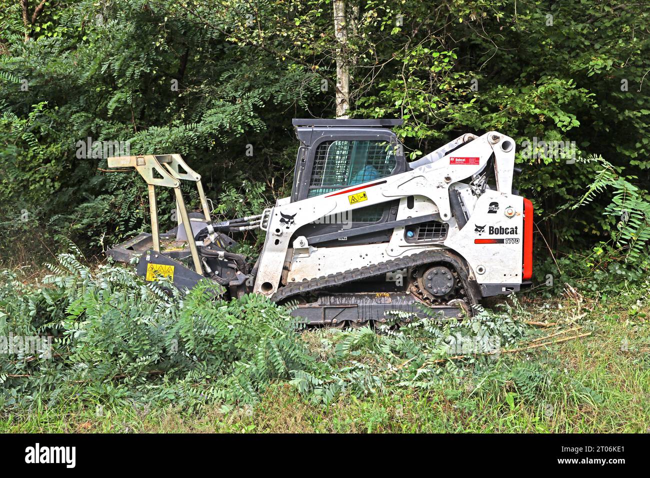 Forst mulcher hi-res stock photography and images - Alamy