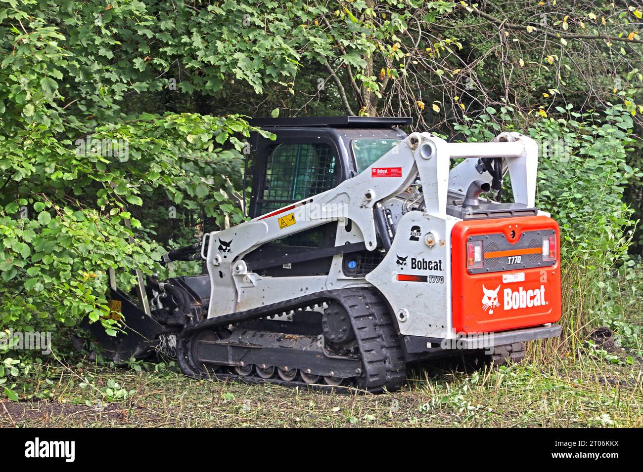 Forst mulcher hi-res stock photography and images - Alamy