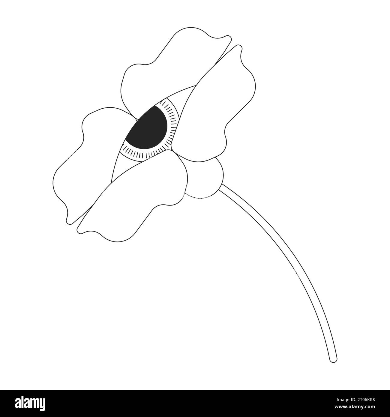 Eyeball Flower With Stem Black And White 2d Line Cartoon Object Stock