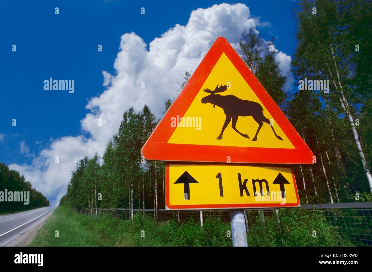 FINLAND ELK MOOSE ROAD SIGN Finnish Hazard Road sign in Finland warning ...
