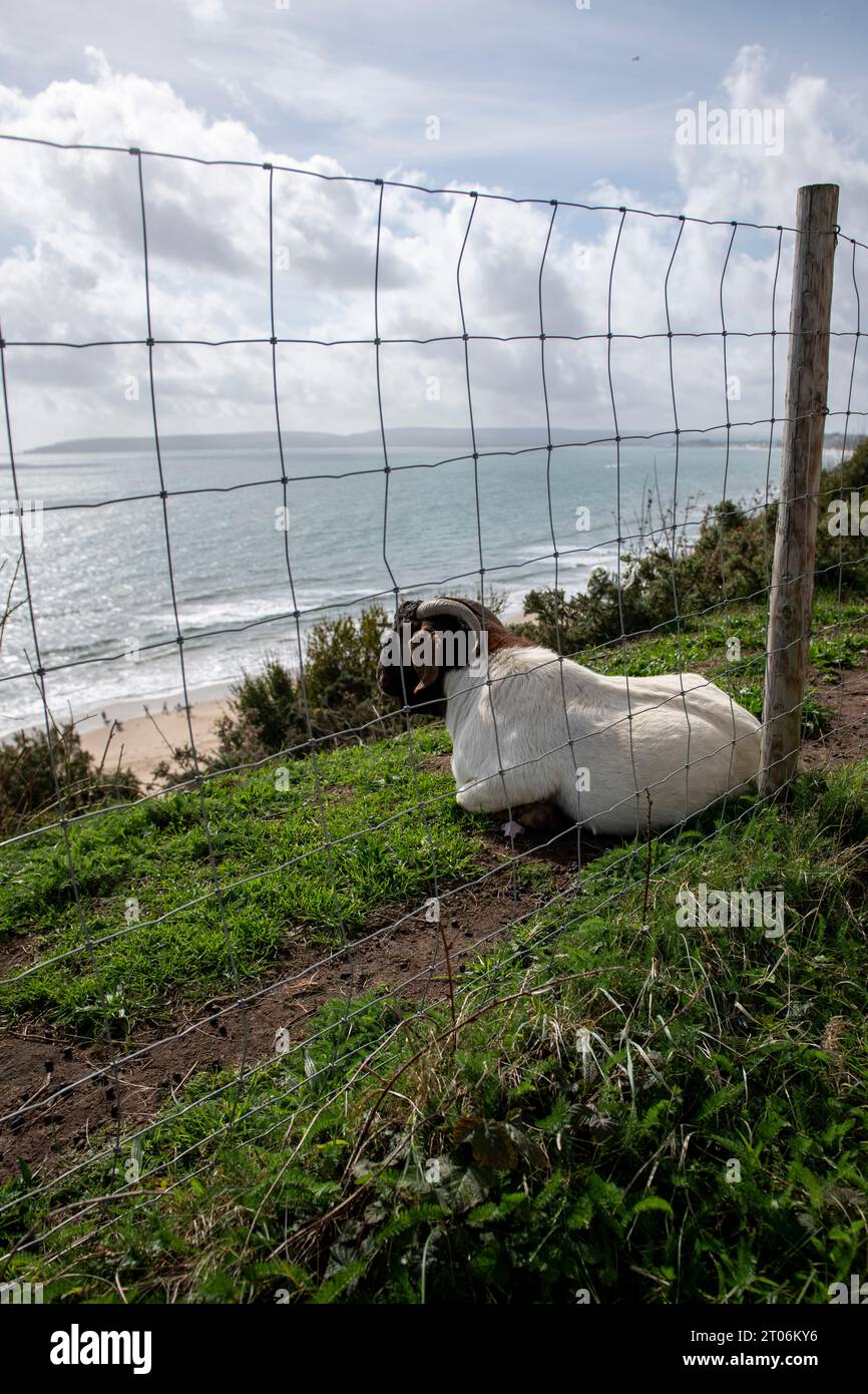 Bournemouth east beach hi-res stock photography and images - Alamy