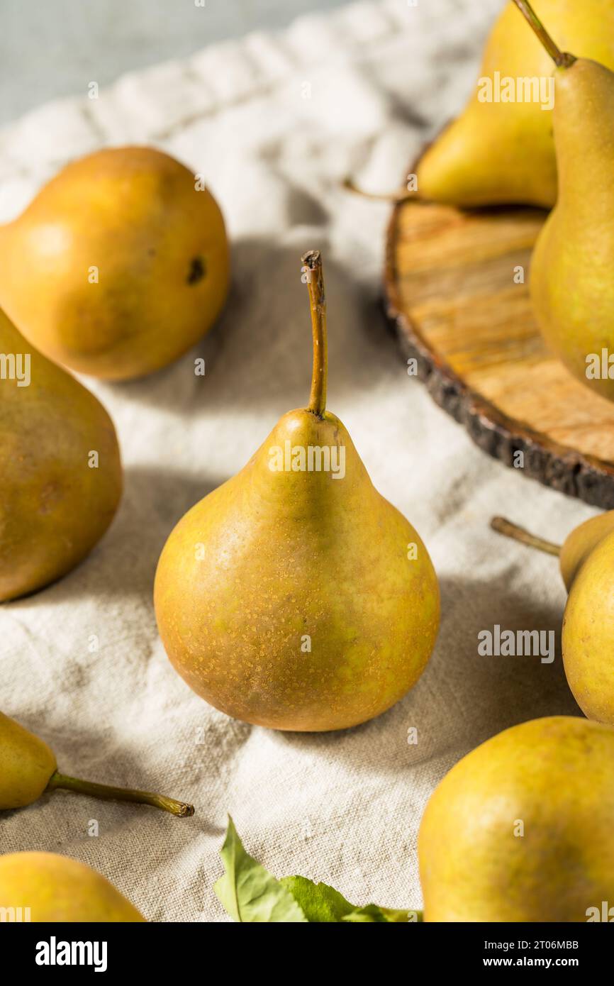 Raw Brown Organic Bosc Pears in a Bunch Stock Photo - Alamy