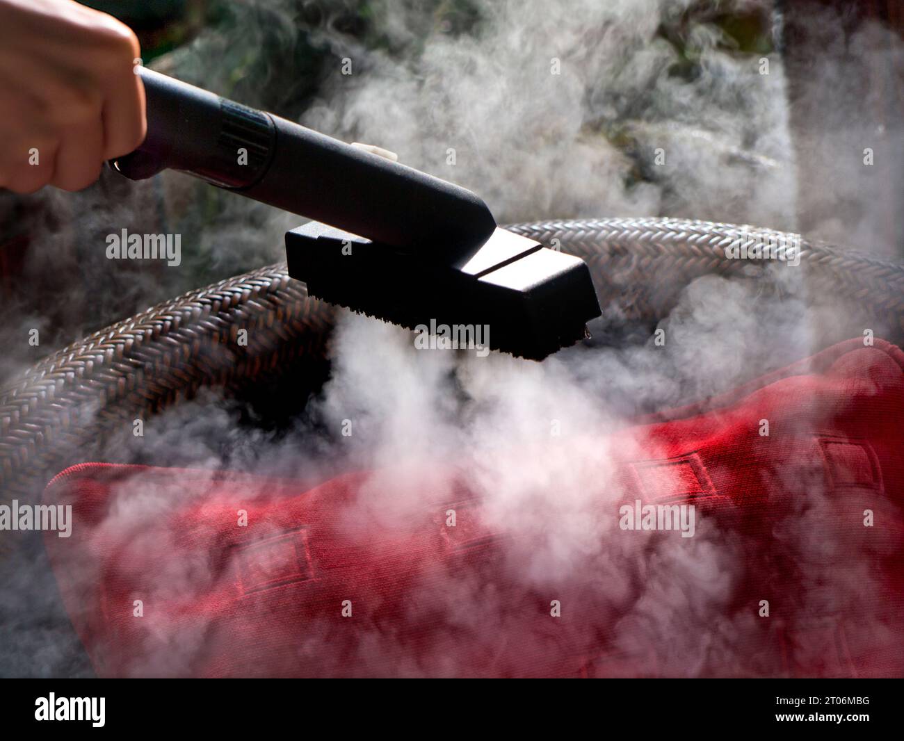 Steam bed bugs hi-res stock photography and images - Alamy