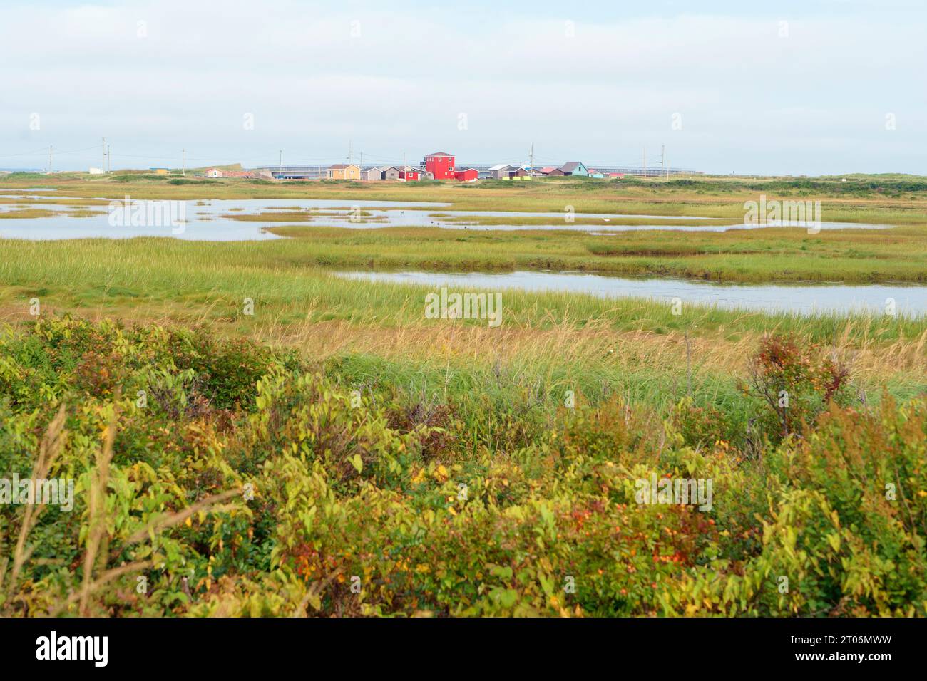 View of Covehead Harbour across the wetlands at Stanhope, Prince Edward ...