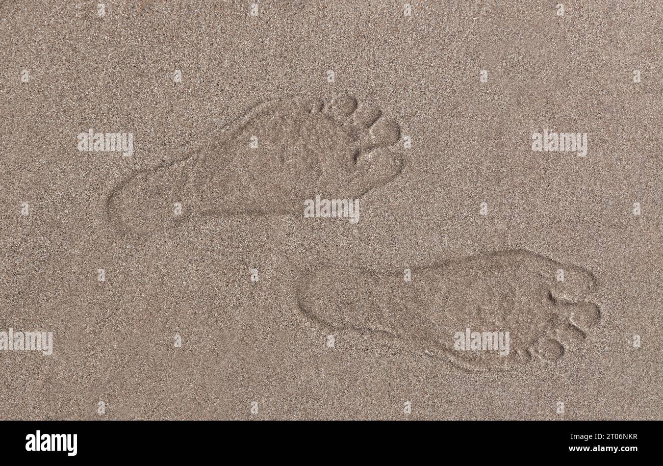 Human Footprint imprint in sand on the beach Stock Photo - Alamy