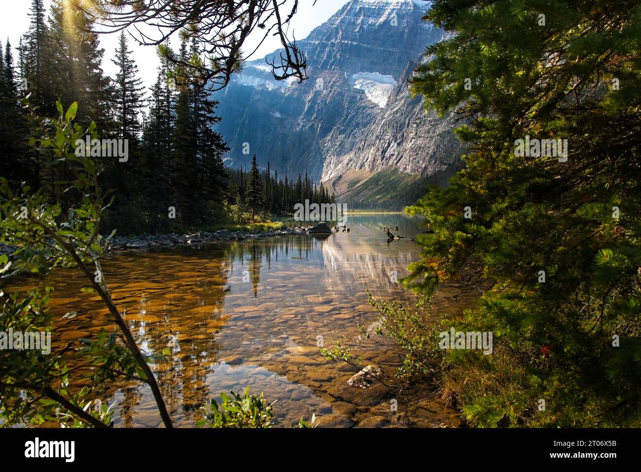 A portion of Cavell Lake in Jasper National Park, Alberta, Canada ...