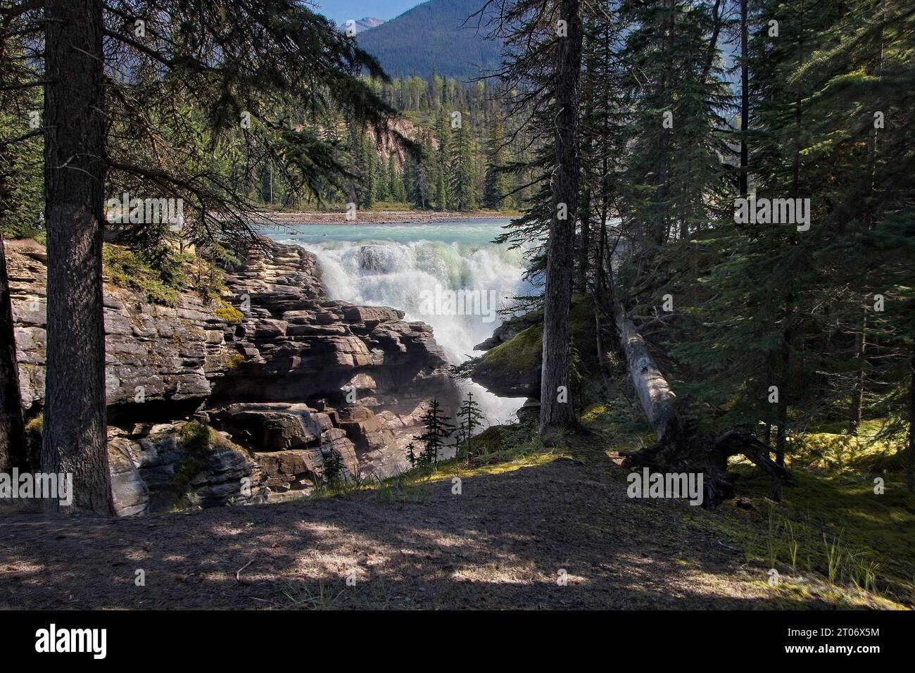 Athabaaca Falls, in Jasper National Park, Alberta, Canada, is a must ...