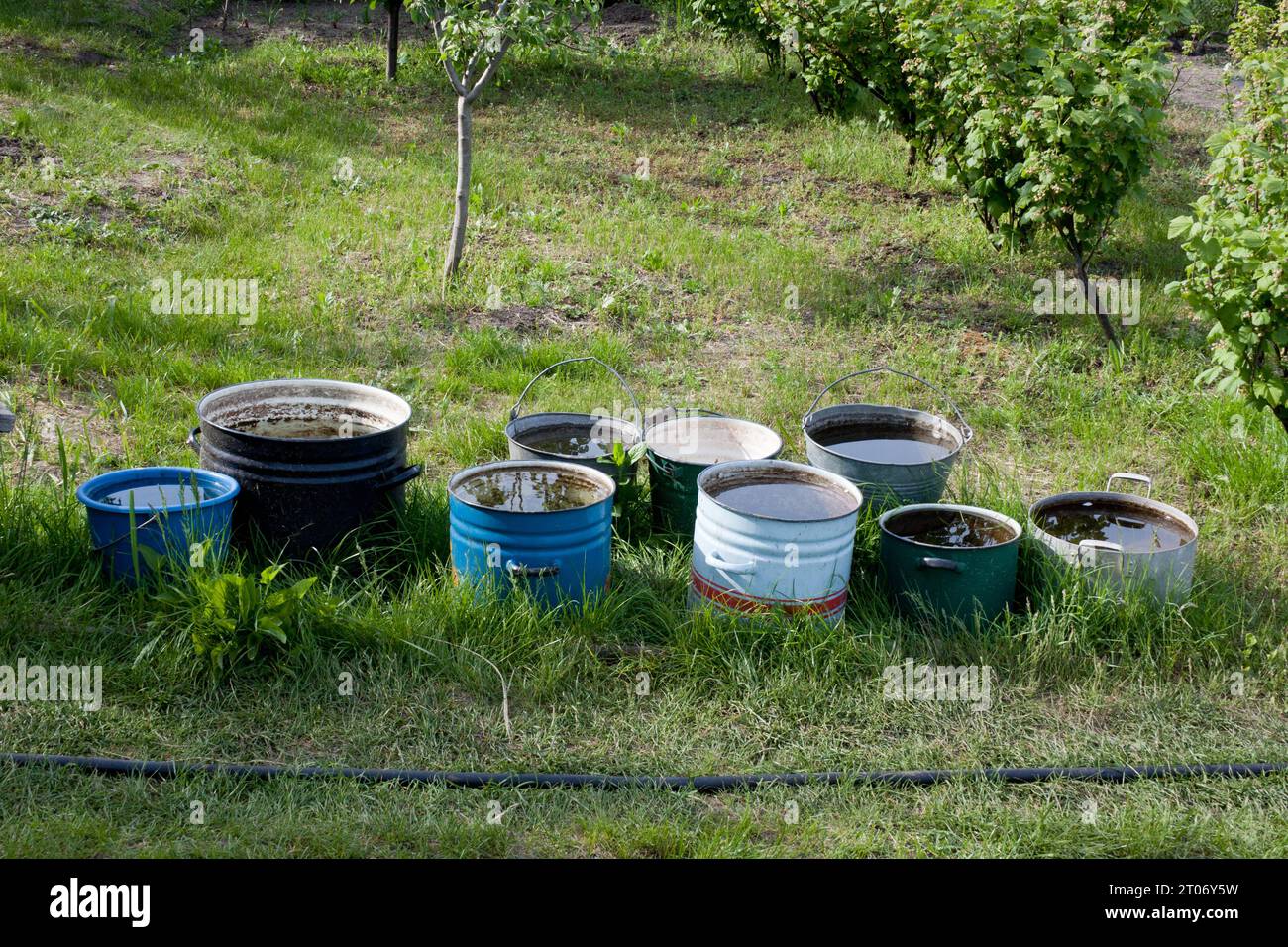 Rainwater collecting in bucket hi-res stock photography and images - Alamy