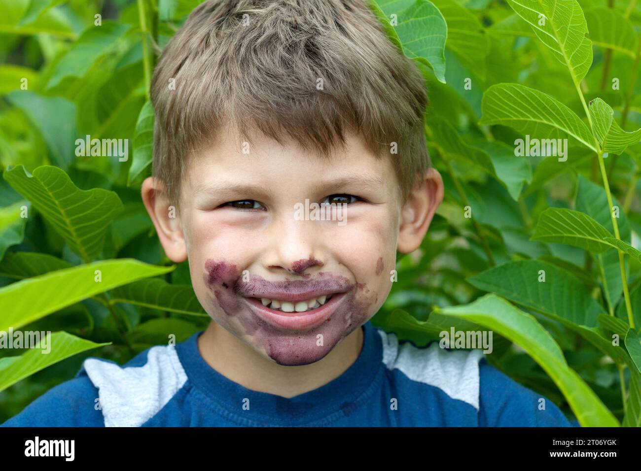 Close-up portrait of child whose face is stained with black mulberry ...
