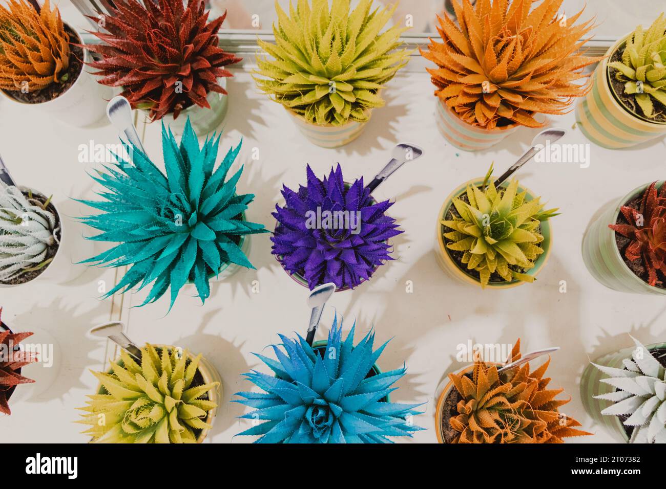 colorful flower pots flat layer background Stock Photo - Alamy