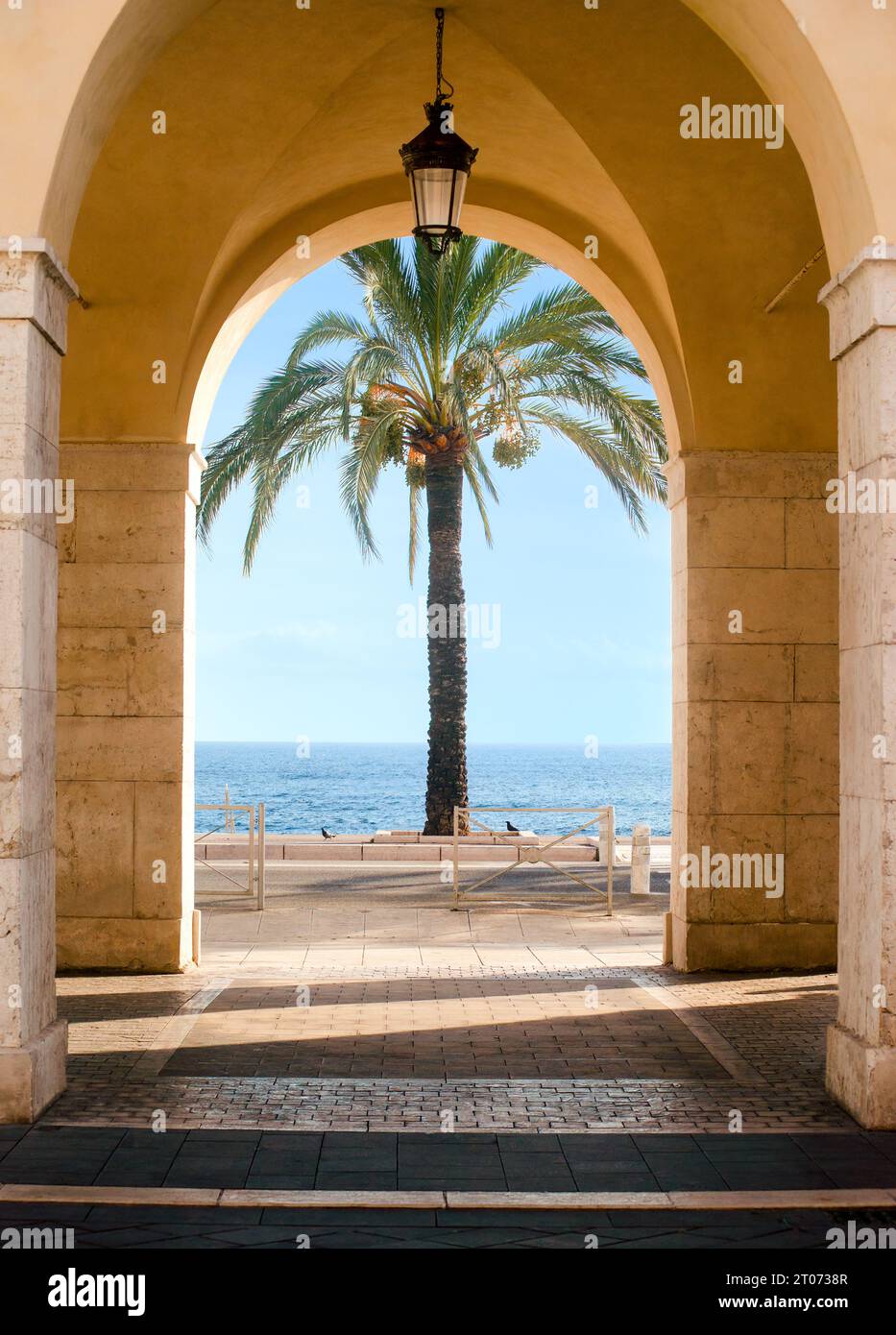 Palm tree framed by ocher arches in the city of Nice Stock Photo - Alamy