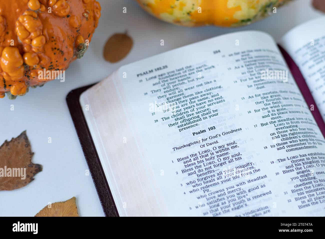 Open Holy Bible Book with pumpkin and autumn leaves on white background ...