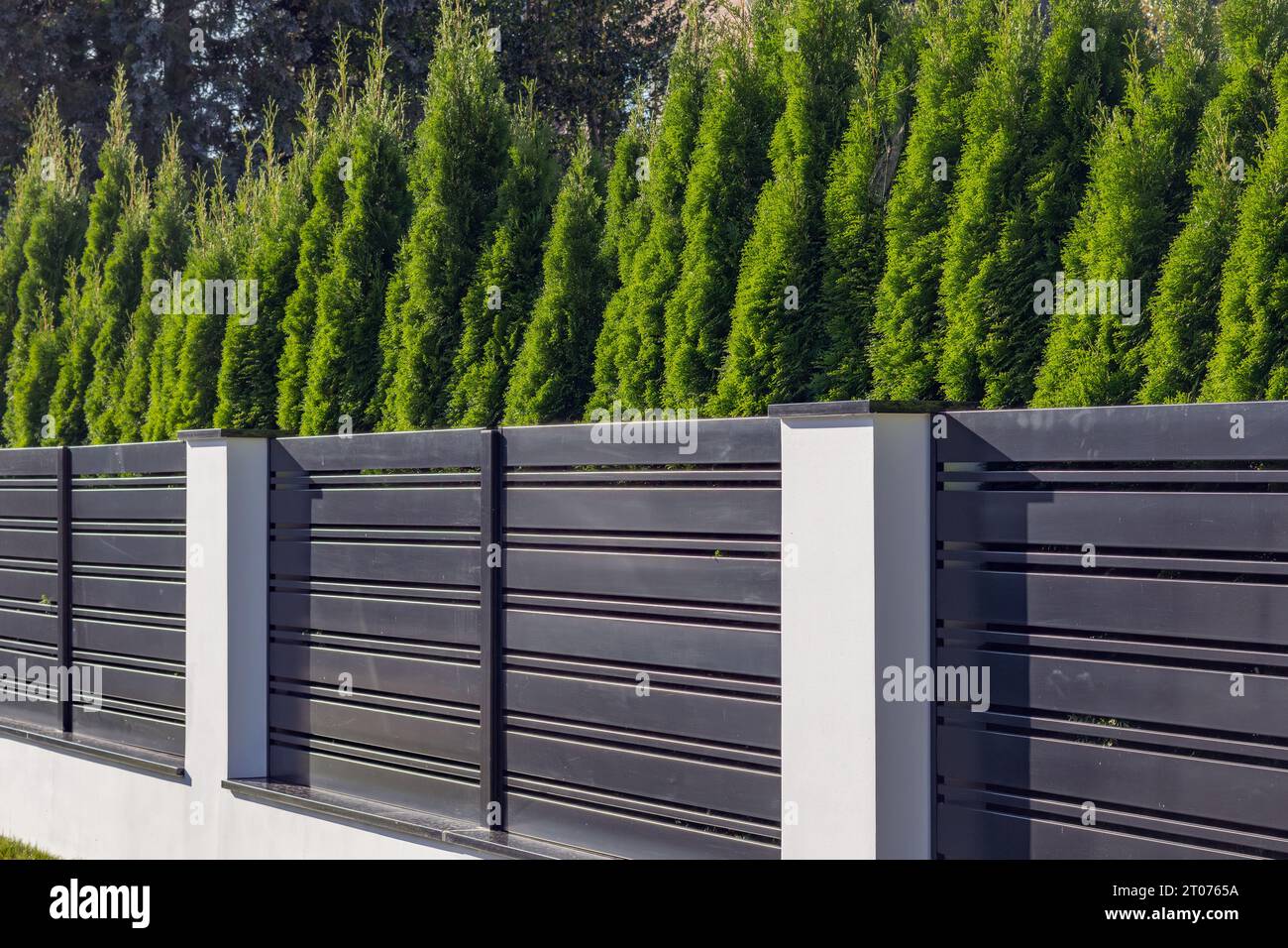 Metal garden fence with hedge Stock Photo - Alamy