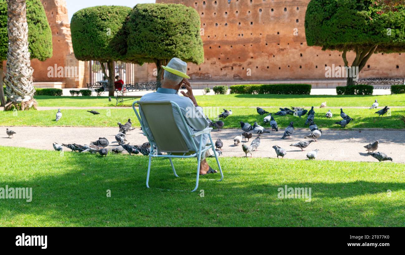 9 pigeons hi-res stock photography and images - Alamy