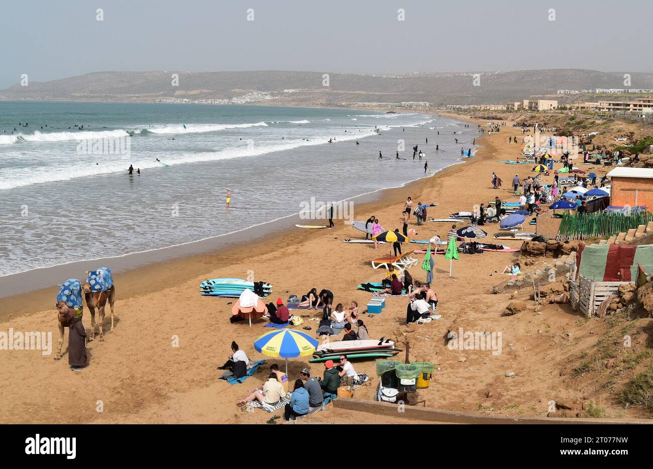 Surfers, camels and sunbathers enjoy a February day on the beach at ...