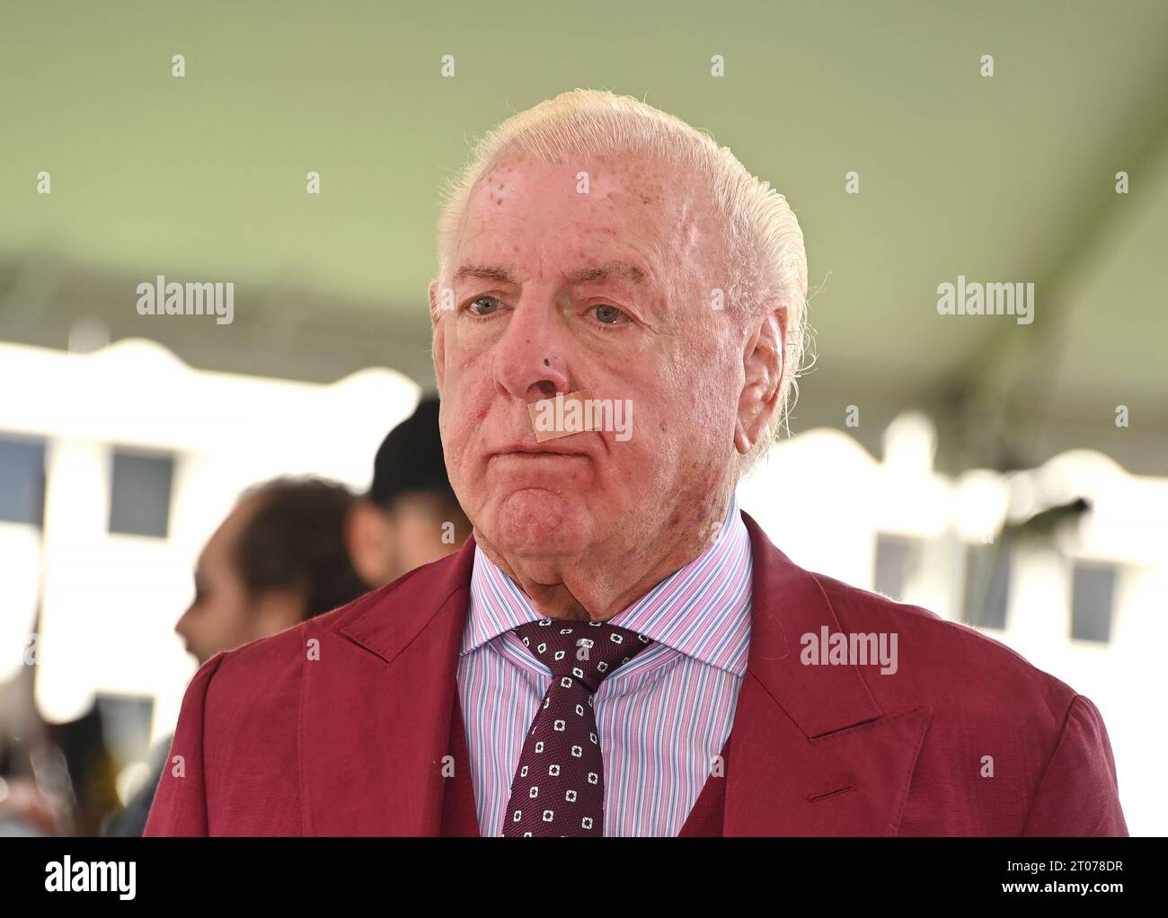 Ric flair hi-res stock photography and images - Alamy