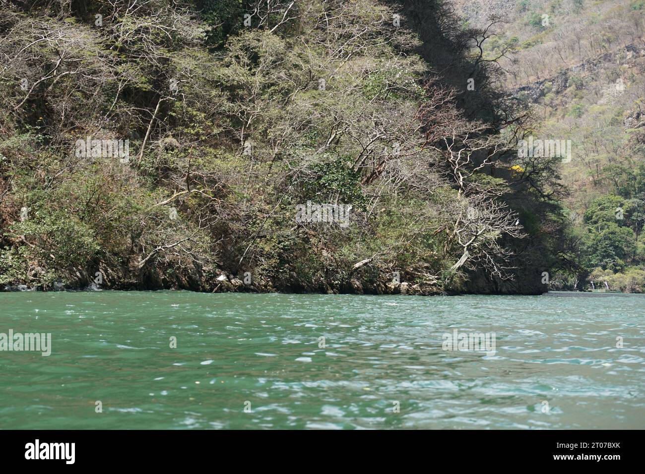 Grijalva river, jungle, nature, birds, vegetation, sumidero canyon at ...