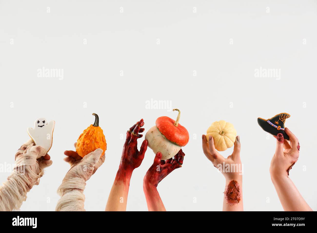 Zombie hands holding pumpkins and Halloween cookies on white background ...