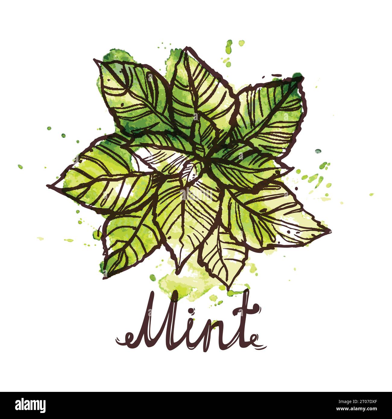 Melissa garden Stock Vector Images - Alamy