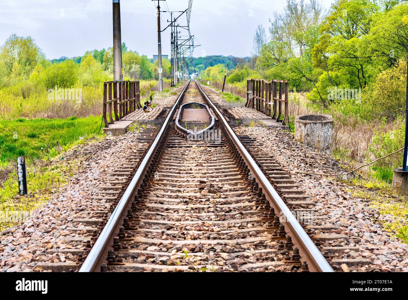 Railway tracks and rails in the countryside at dawn Stock Photo - Alamy
