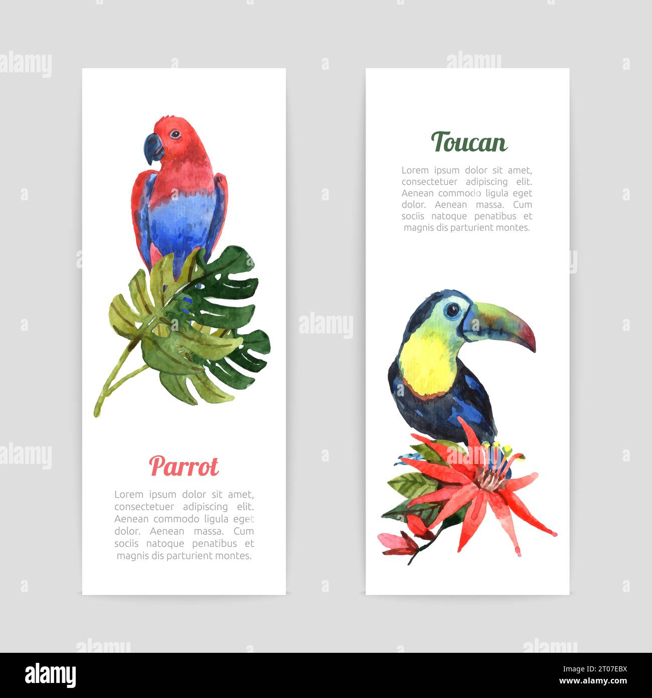 Tropical rainforest vacation vertical banners set with exotic parrot ...
