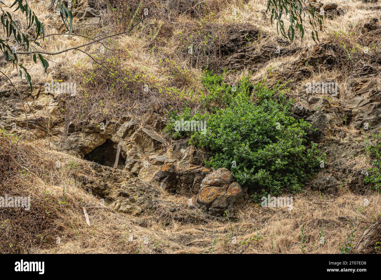 Santa Cruz Island, CA, USA - September 14, 2023: Natural cave formed ...
