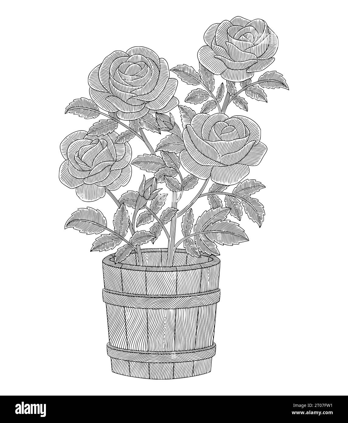 Rose Flower Basket Drawing