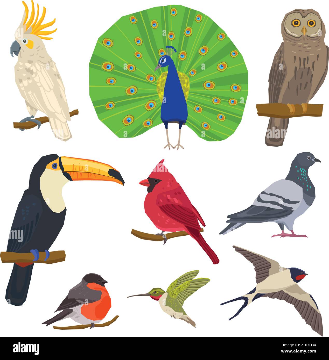 Birds peacock toucan bullfinch dove owl and swallow color painted flat ...