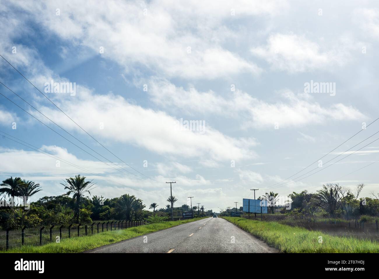 View of an asphalt road with trees on both sides. Rural and ...