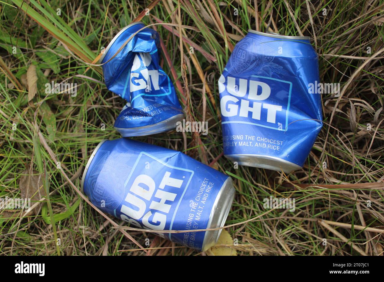 Three dented Bud Light beer cans in grass Stock Photo - Alamy