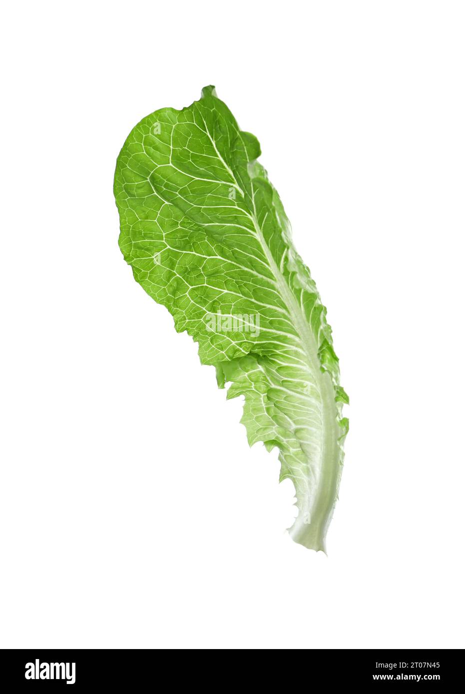 Fresh leaf of green romaine lettuce isolated on white Stock Photo - Alamy