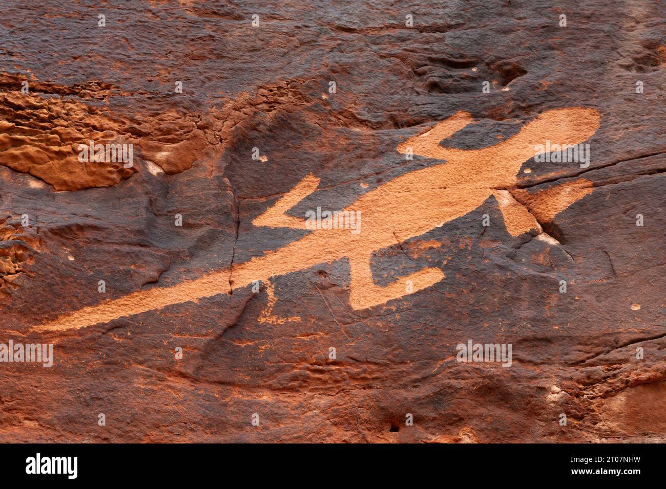Lizard petroglyph left by the Fremont people who inhabited the Cub ...