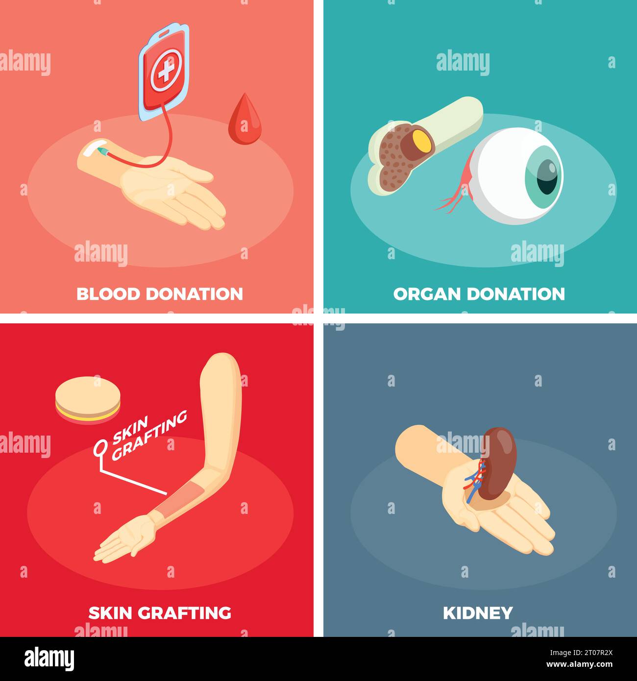 Transplantation 2x2 design concept with organ donation skin grafting ... Transplantation 2x2 design concept with organ donation skin grafting ...
