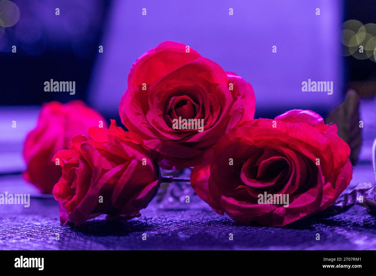 Stage setup for Maya Rudolph and Gretchen Lieberum performance with ...