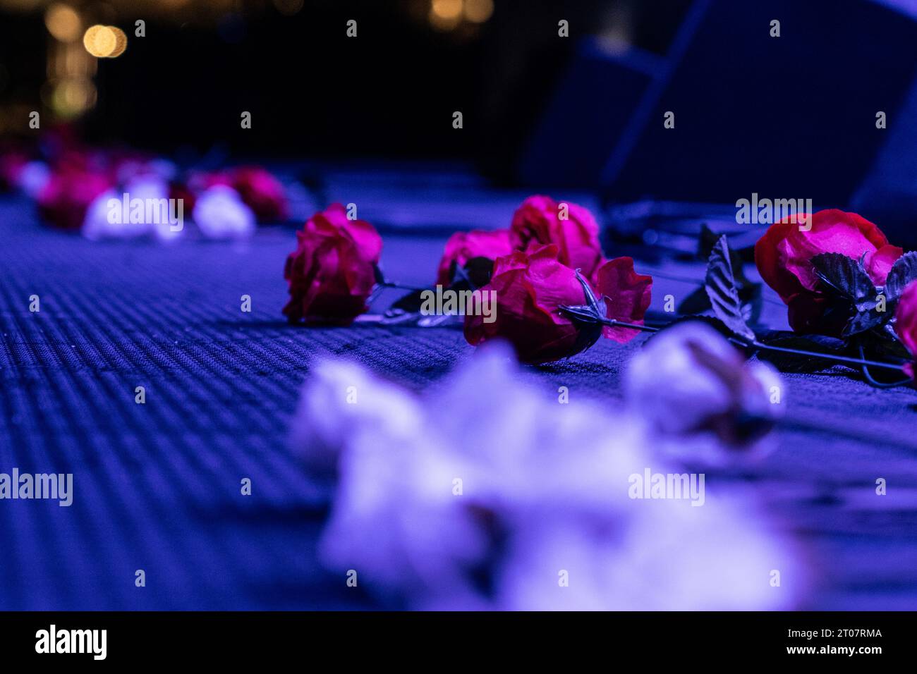 Stage setup for Maya Rudolph and Gretchen Lieberum performance with ...