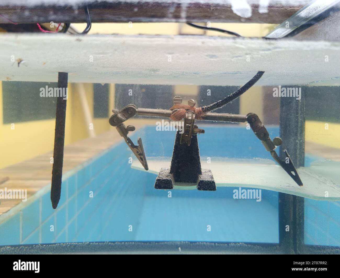 aquarium with metal items undergoing electrolysis to remove rust Stock ...