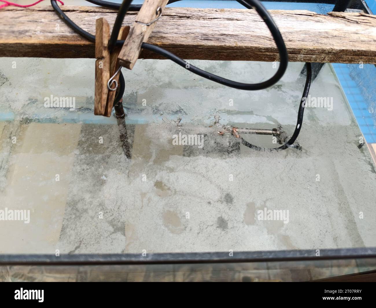 aquarium with metal items undergoing electrolysis to remove rust Stock ...