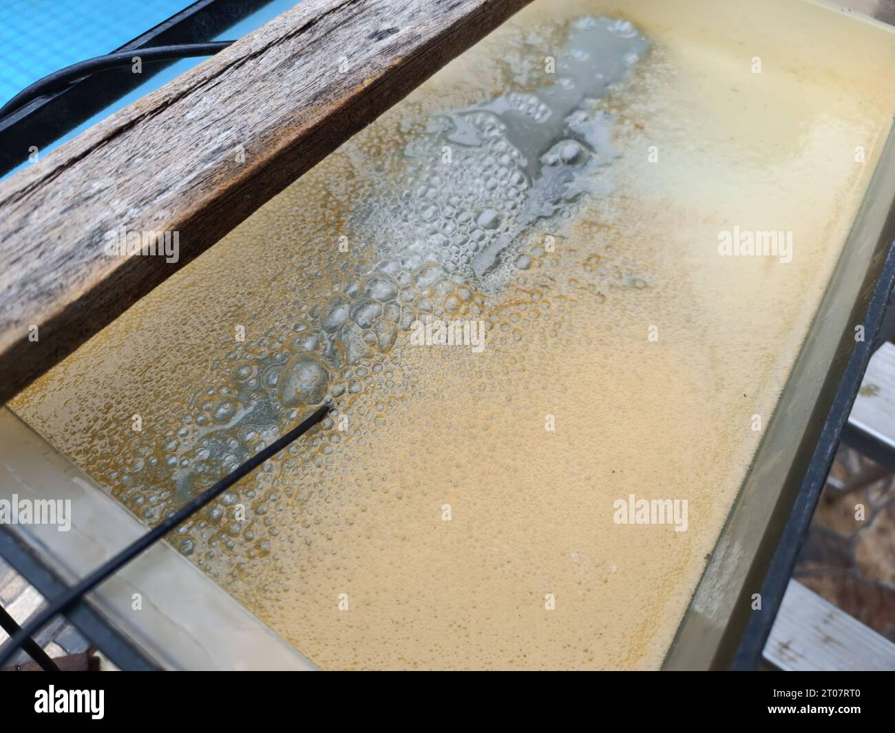 water surface in aquarium with bubbles and rust due to an experiment ...