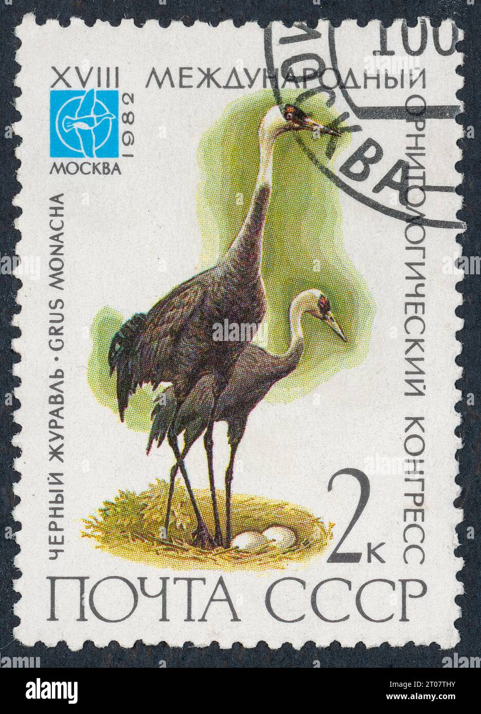 The hooded crane (Grus monacha). Postage stamp issued in the USSR in ...