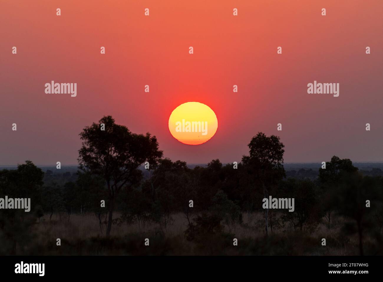 Beautiful bright orange, round sun setting in a red sky over trees ...