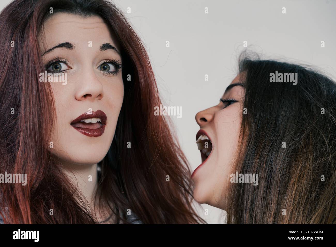 In a delightful mix of beauty and jest, two women with long, perfectly ...