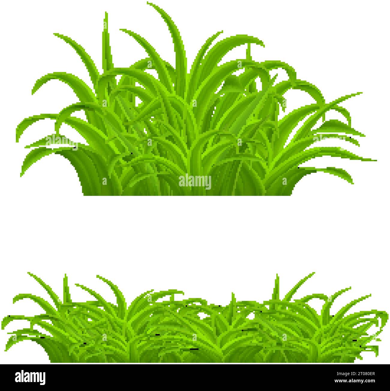 Fresh Green Grass Elements for Spring Design. Illustration on White ...