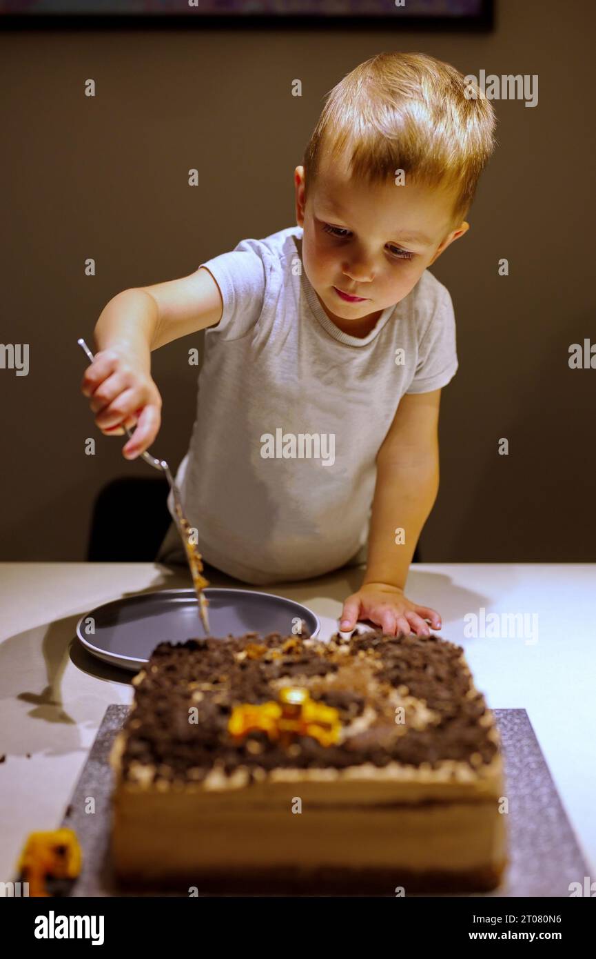 Cute little toddler cutting his birthday cake Stock Photo - Alamy