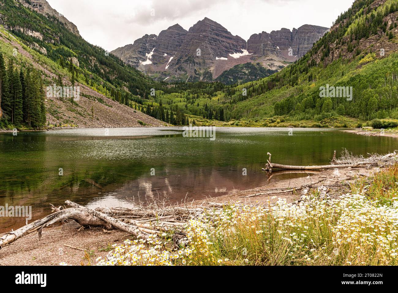 Aspen beautiful scenery hi-res stock photography and images - Alamy