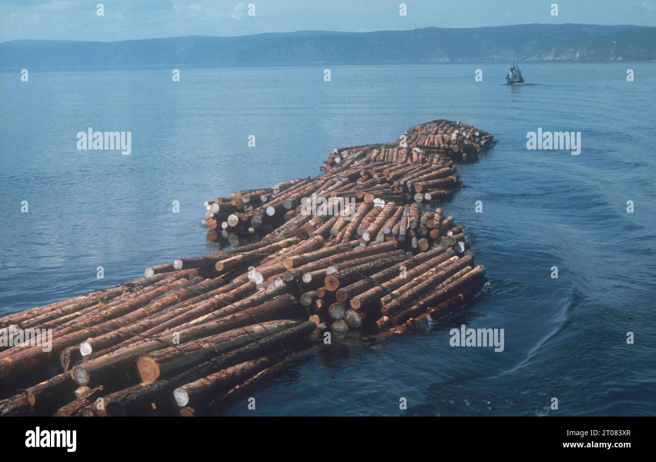 USS, Russia, Siberia. Raft of logs from taiga forest on Lake Baikal ...