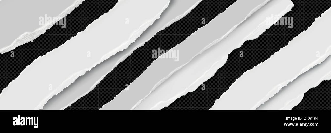 Torn paper strip edge, rip and tear piece texture vector design. Blank ...