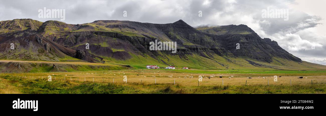 An Icelandic panoramic landscape of a generic farm, a grassy field of ...