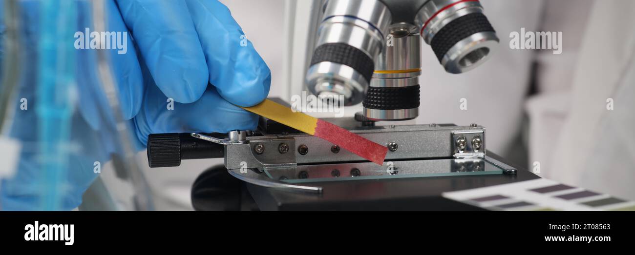 Scientist does acidity test with indicator paper in lab Stock Photo - Alamy