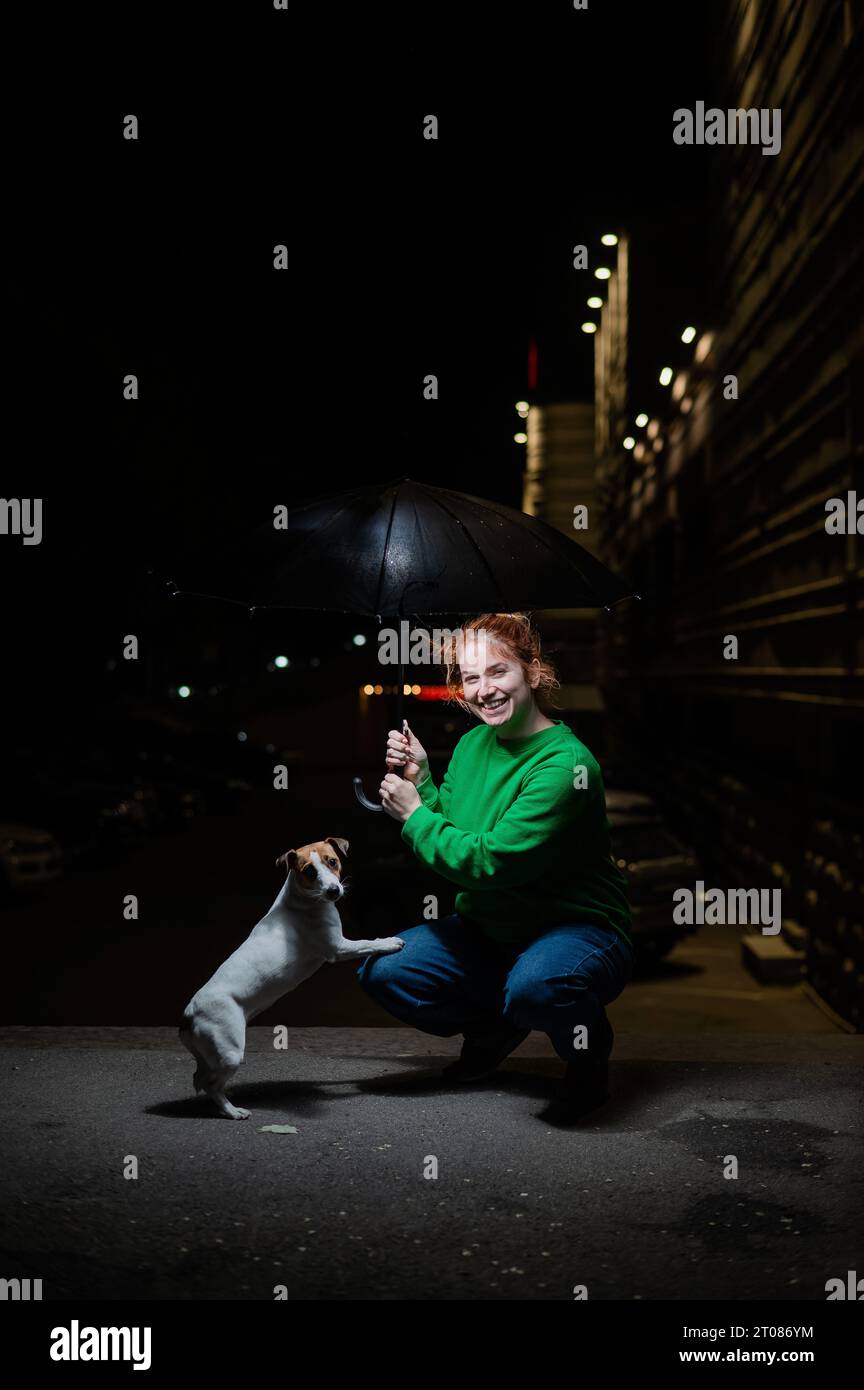 Woman sheltering jack russell terrier dog under umbrella from rain ...